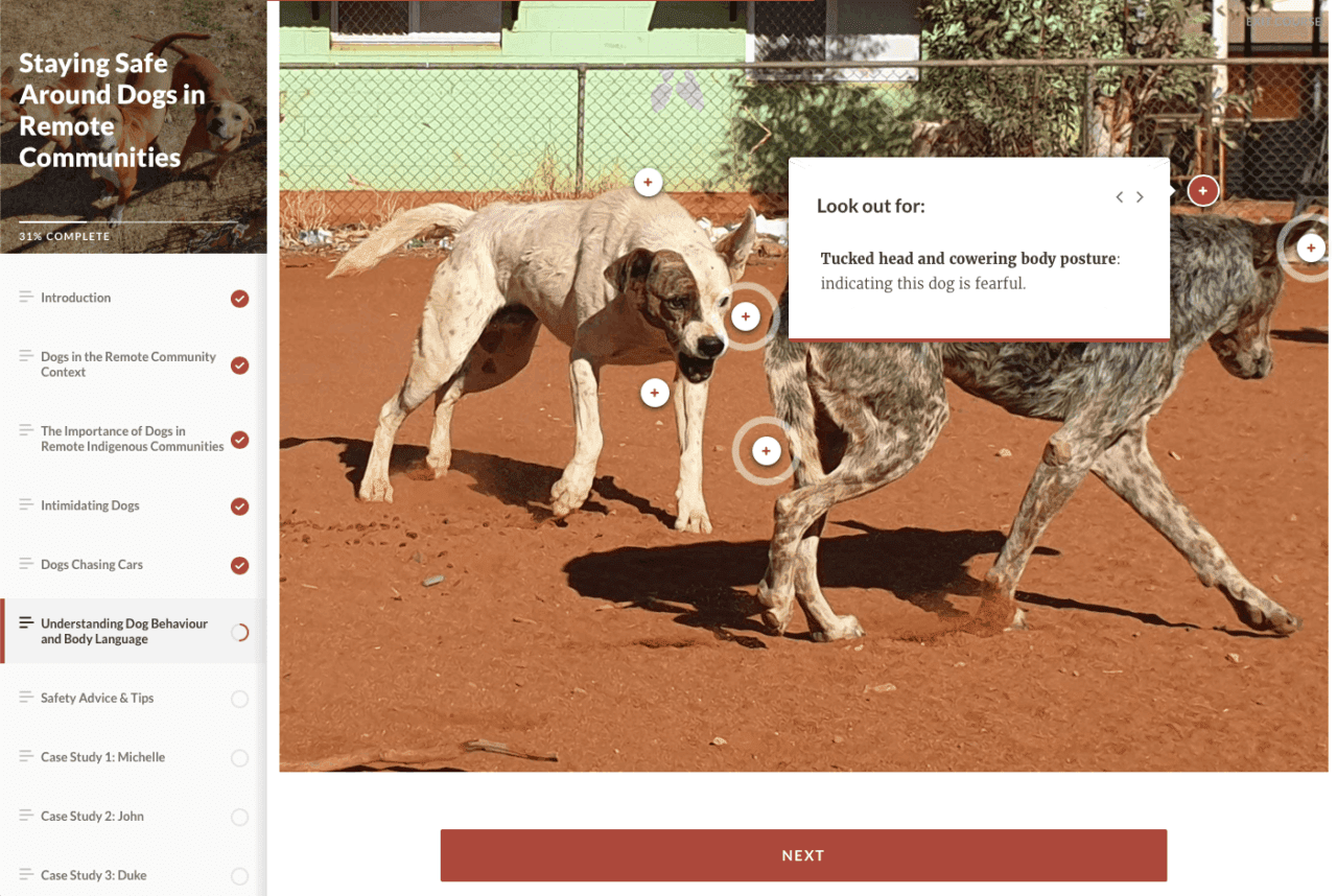 Staying Safe Around Dogs Videos and Online Training Module - AMRRIC