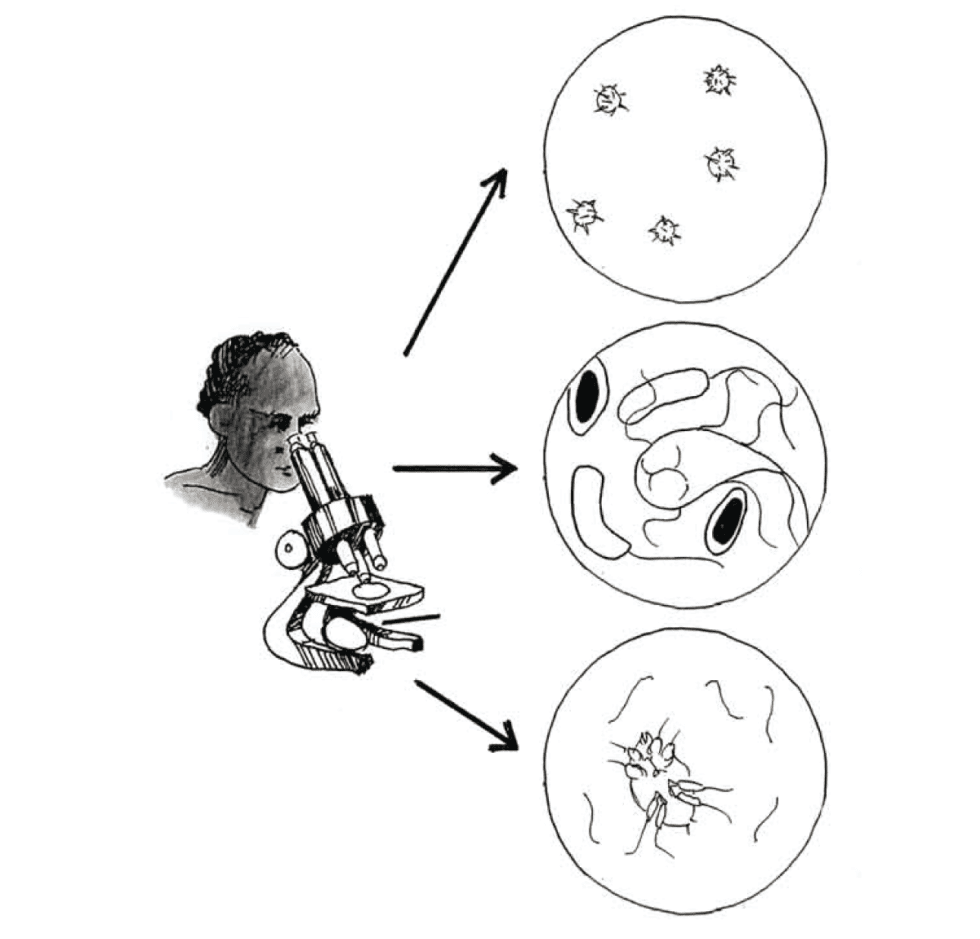 Chapter 3 - Germs and immune systems - AMRRIC