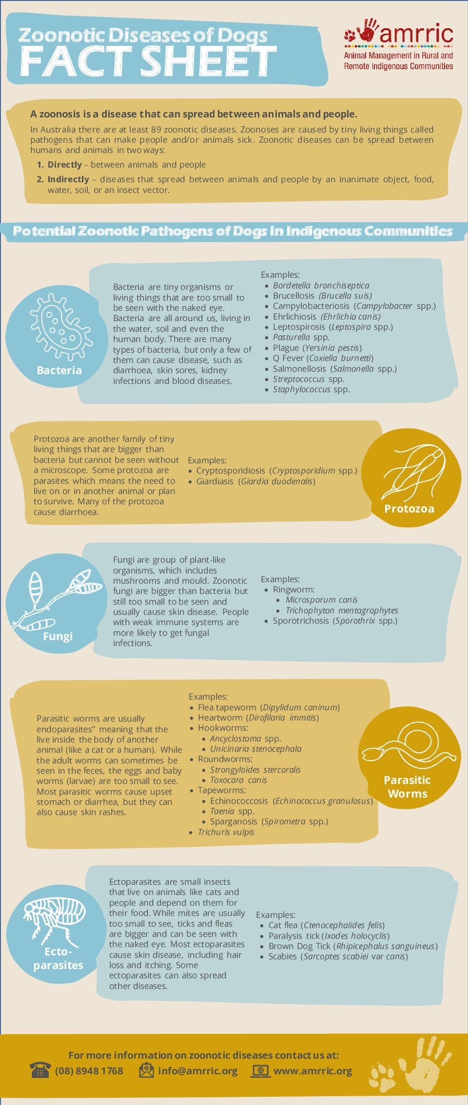 Zoonoses from dogs and cats – fact sheets - AMRRIC