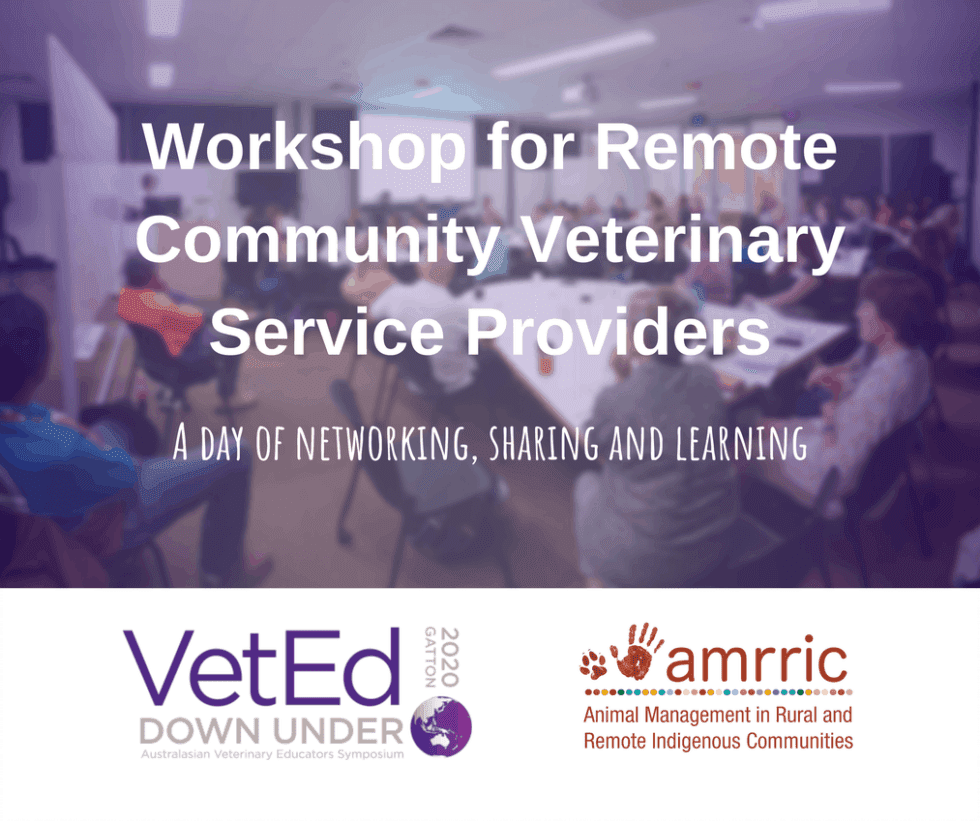 AMRRIC holds workshop for remote community veterinary service providers ...