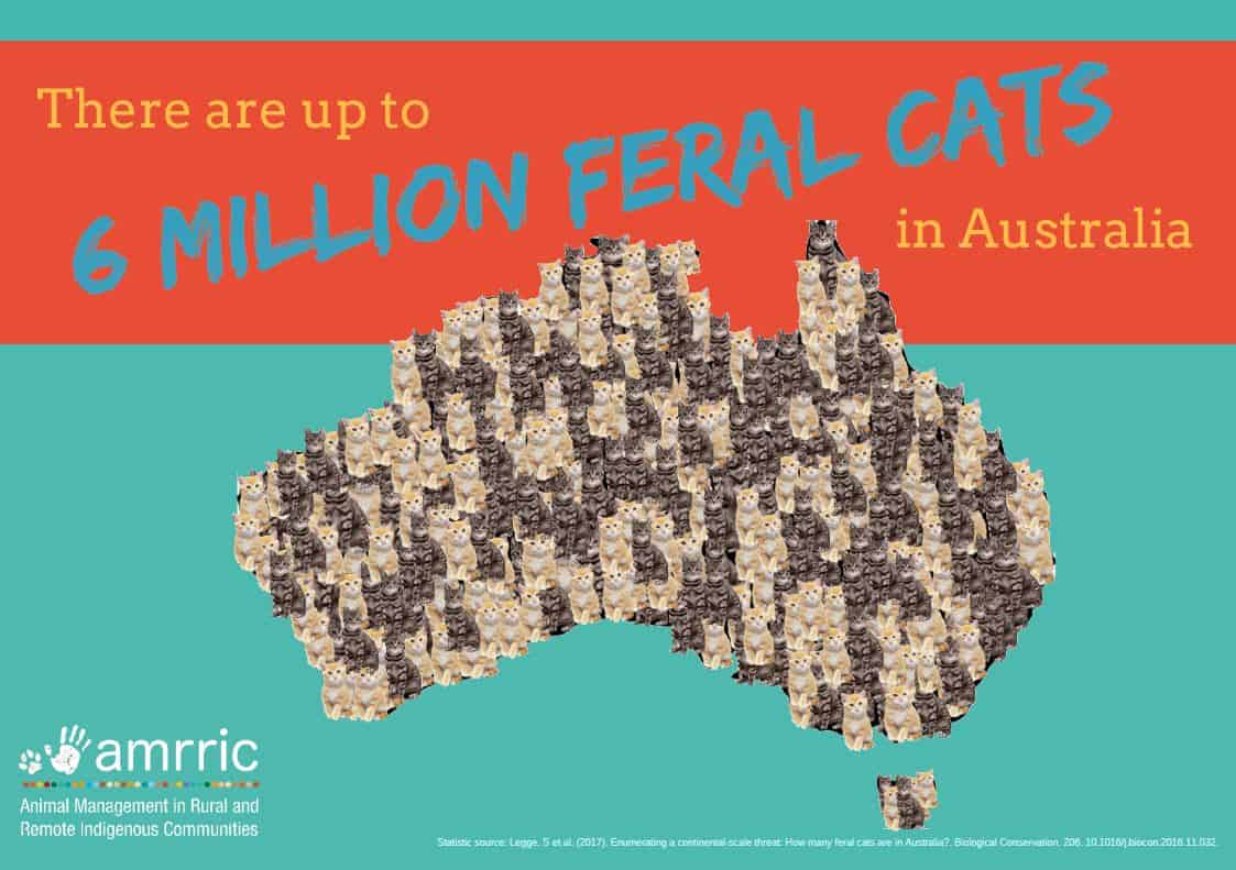 Cat Map Poster - AMRRIC