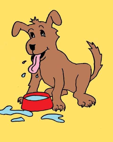 Dog's Needs - AMRRIC