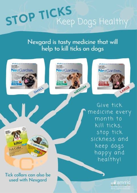 Stop Ticks- Ehrlichiosis Poster - AMRRIC