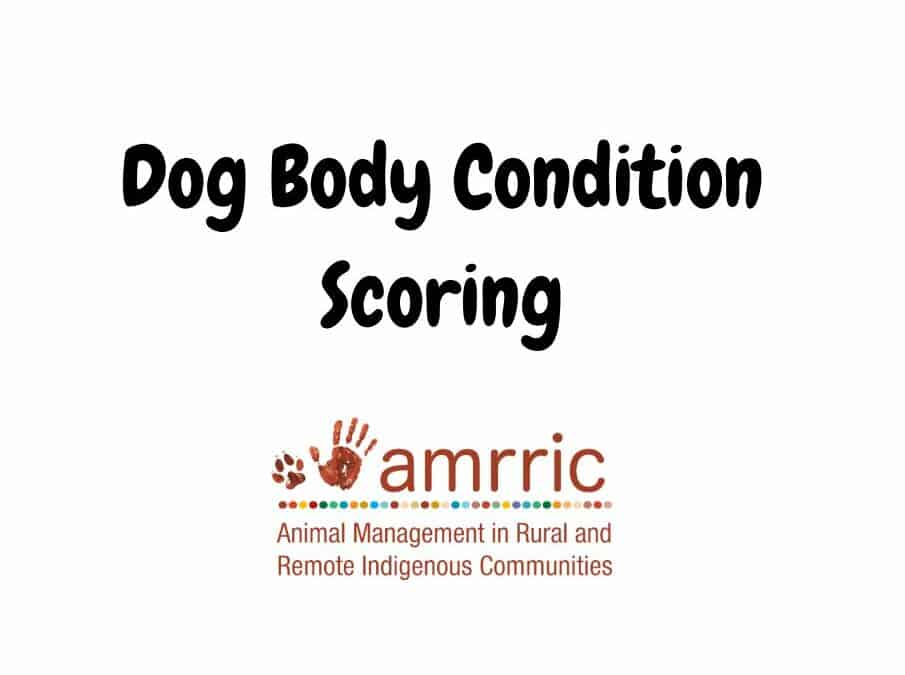 Body Condition Score, Skin Scores, and Tick Scores