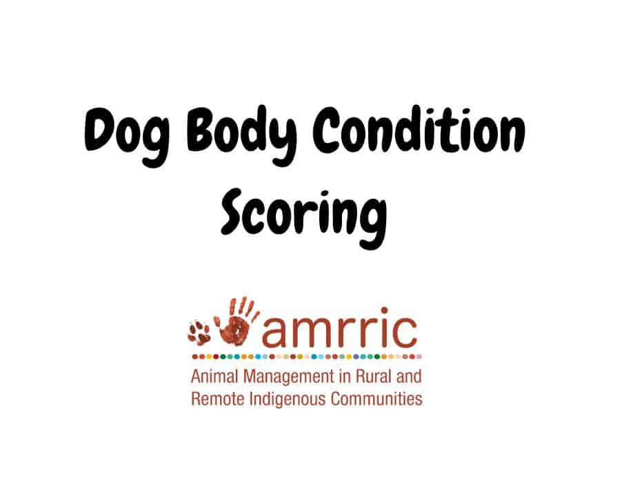 Body Condition Score, Skin Scores, and Tick Scores