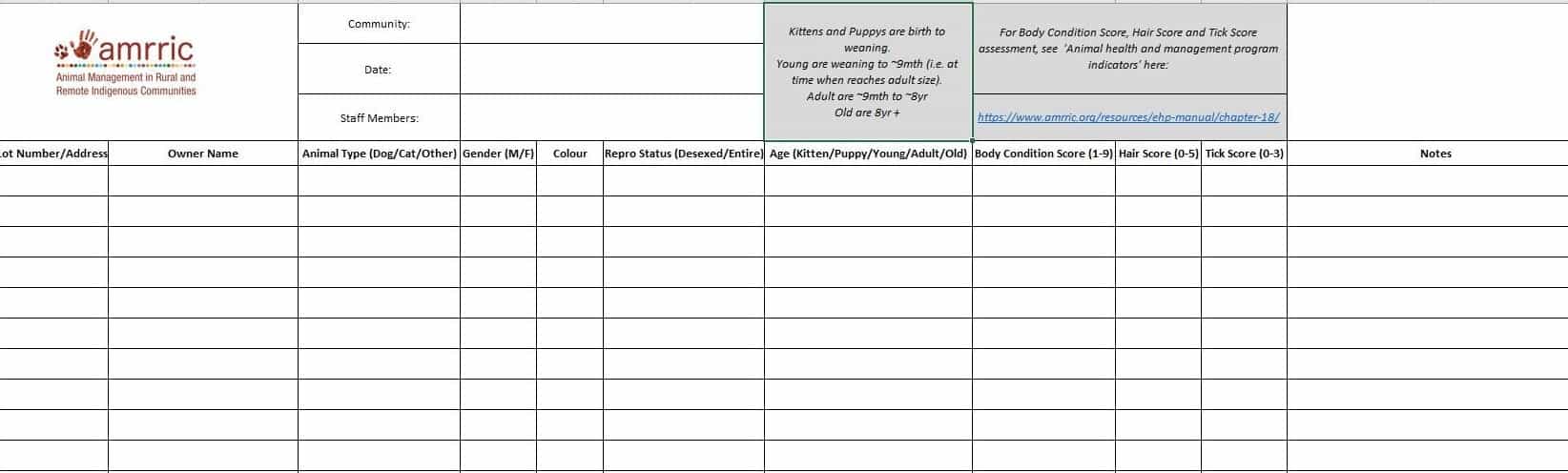 Census Data Template
