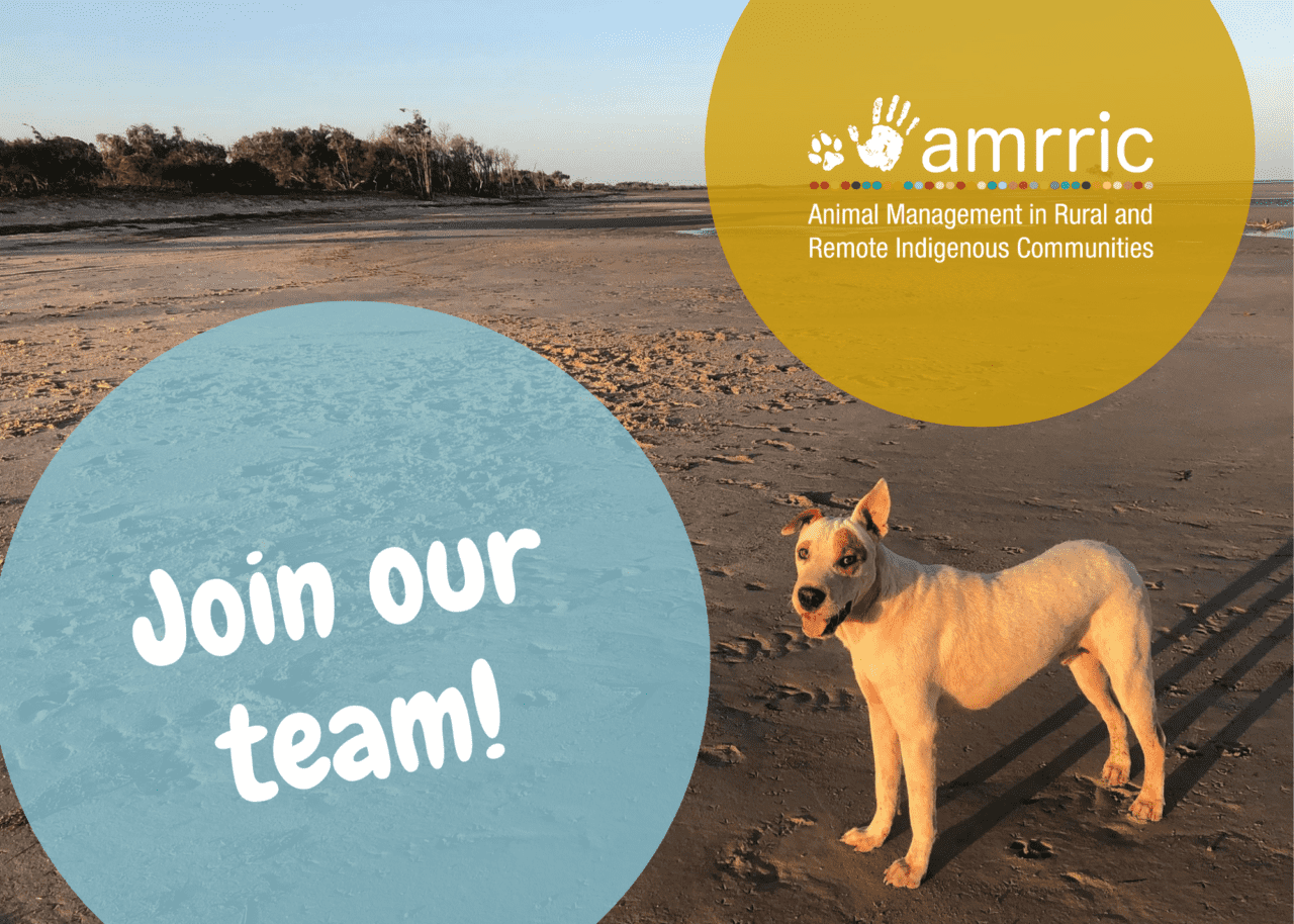 Position Available: Biosecurity Project Officer - AMRRIC