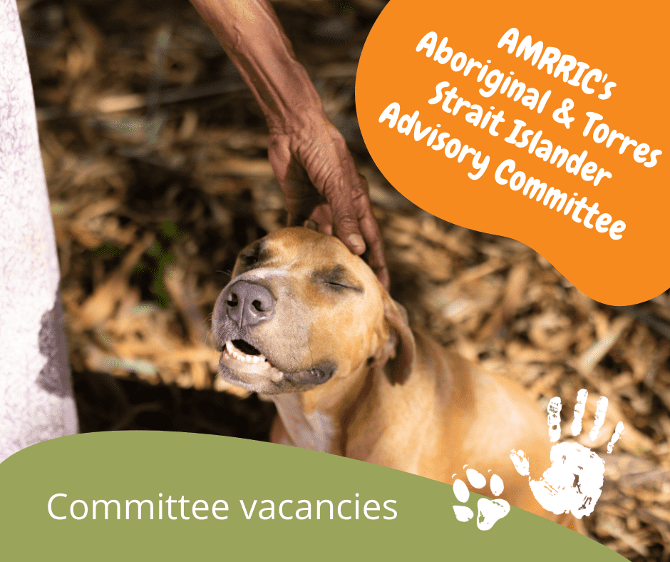 AMRRIC | Animal Management In Rural & Remote Indigenous Communities