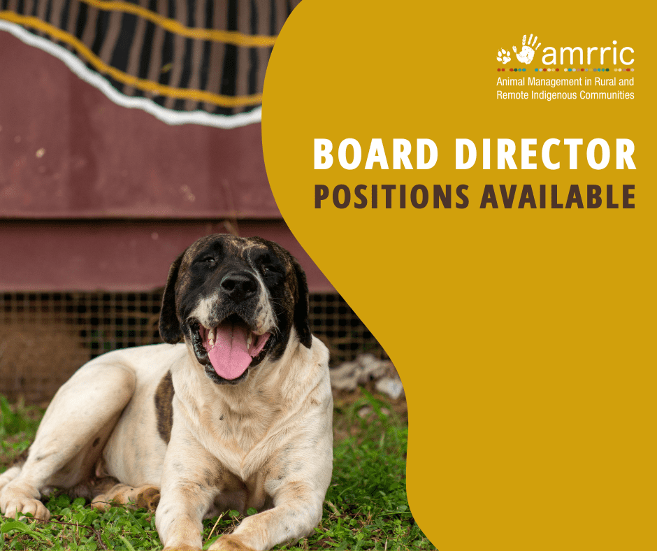 AMRRIC | Animal Management In Rural & Remote Indigenous Communities