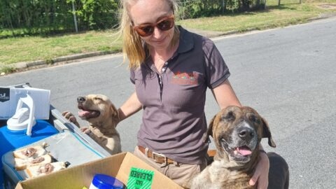 Innovation & Sustainability - AMRRIC