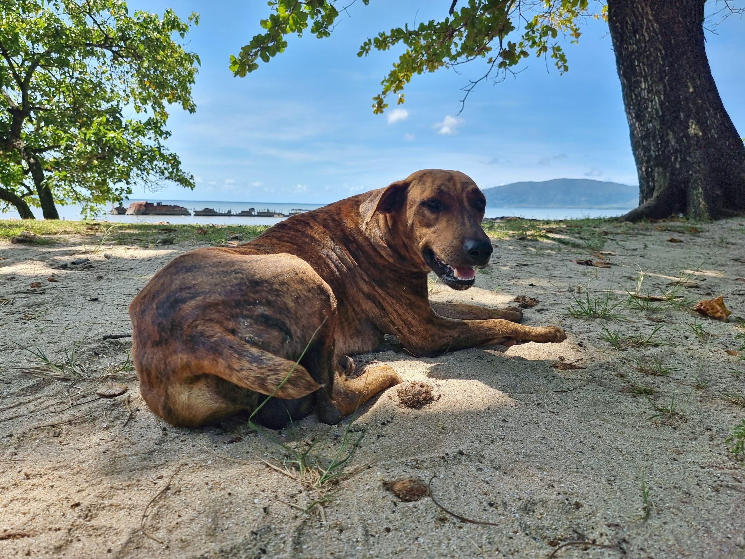 Innovation & Sustainability - AMRRIC