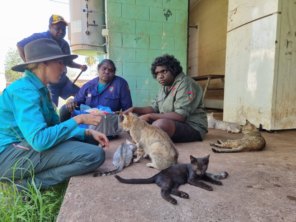 Innovation & Sustainability - AMRRIC