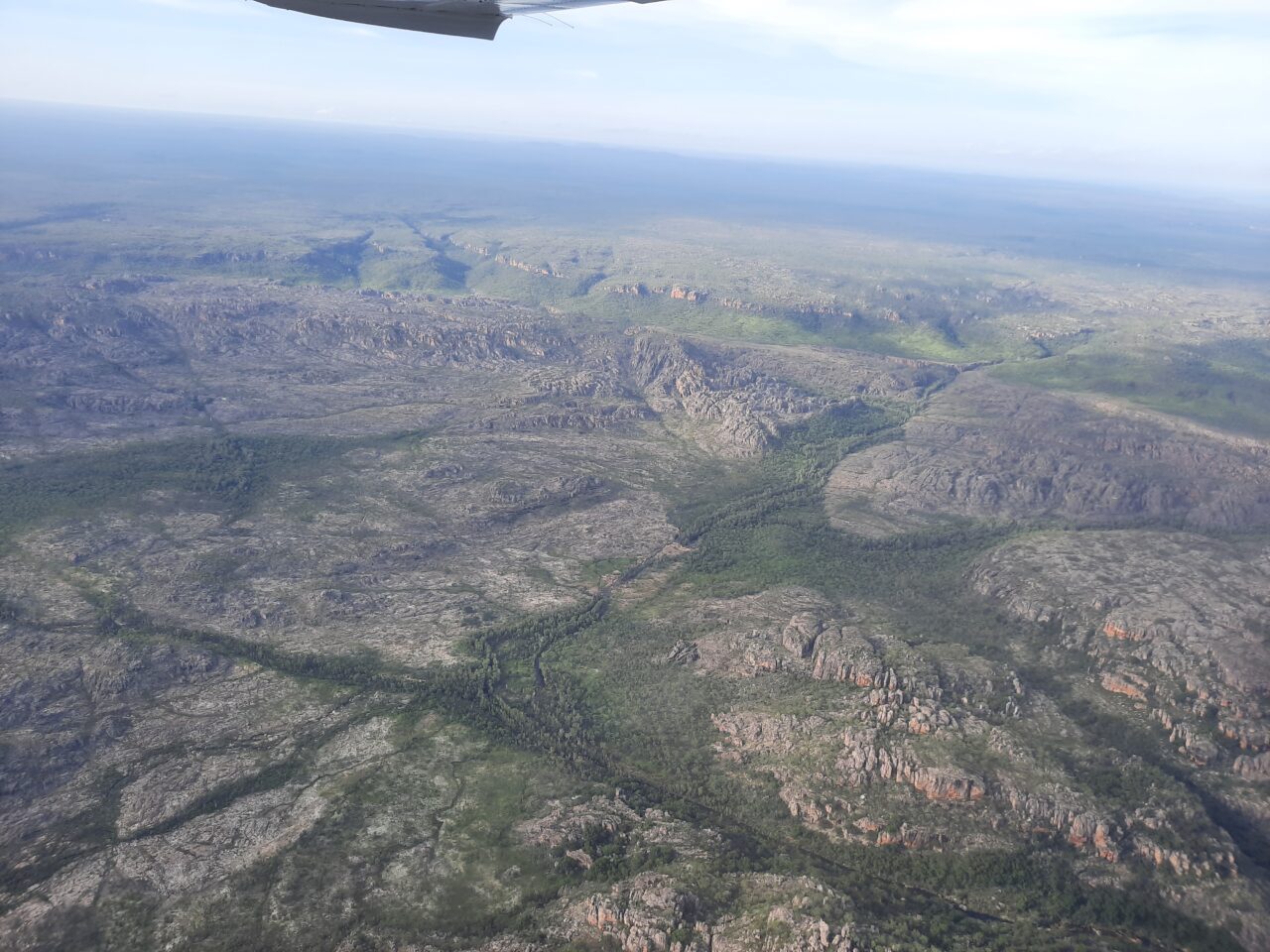 Continued Collaboration and Dedication to Animal Health and Success in ...