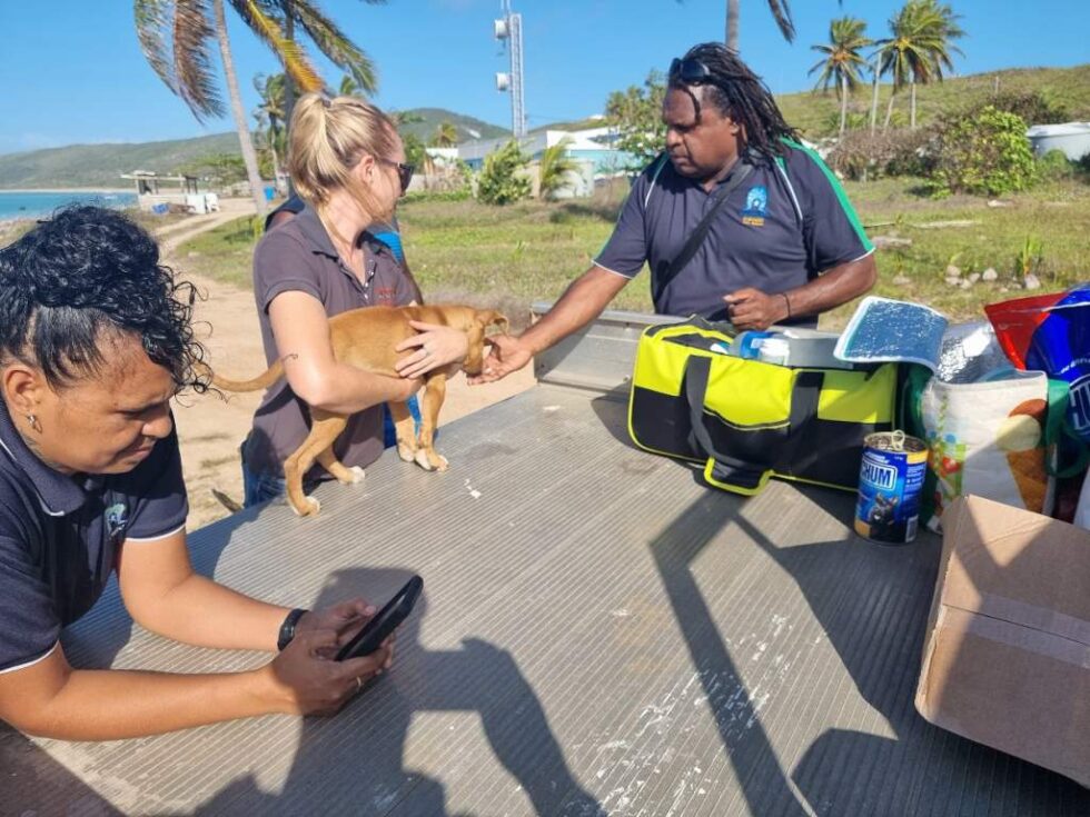 Year 1 wrap-up of AMRRIC’s Biosecurity Pilot Project (2021-2024) - AMRRIC