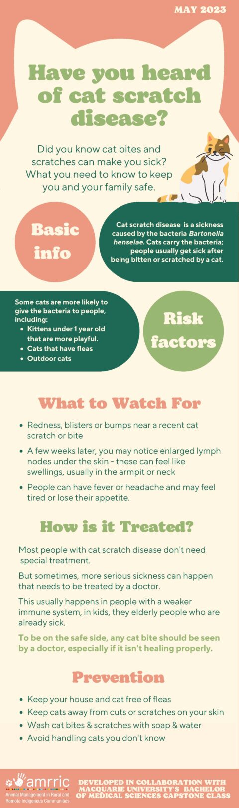 Cat Scratch Disease – Zoonosis Fact Sheet