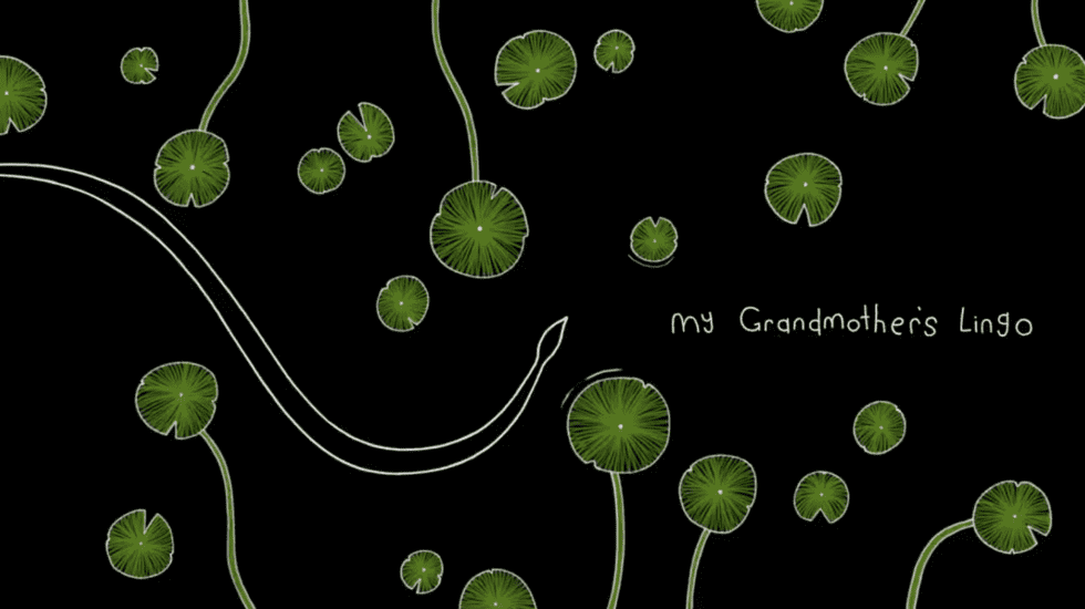 Vision statement for Australia’s International Decade of International ...