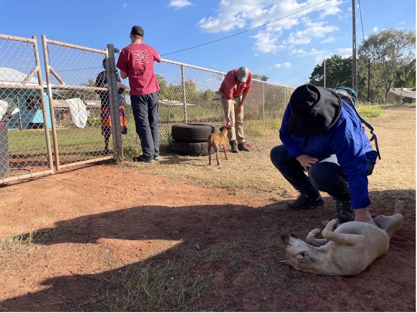 Preparing for emergencies – working together to collect companion ...