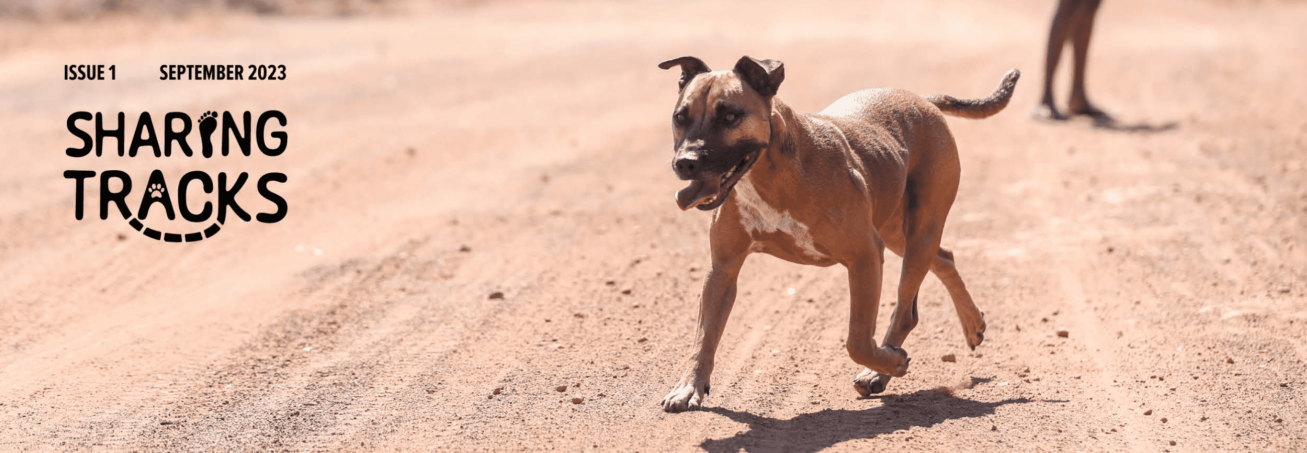 Sharing Tracks Archive - AMRRIC