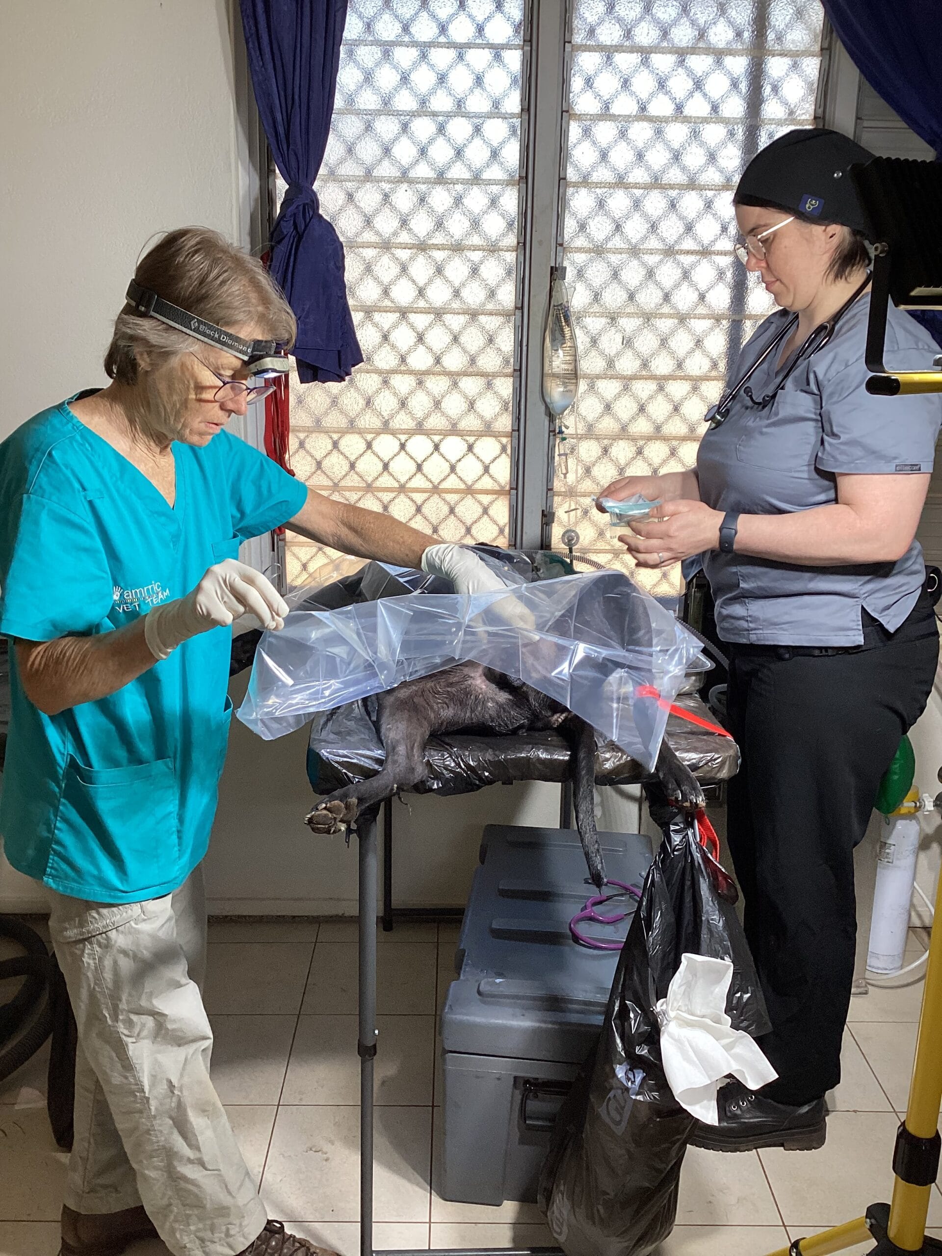 Wonderful Return to Lajamanu - AMRRIC