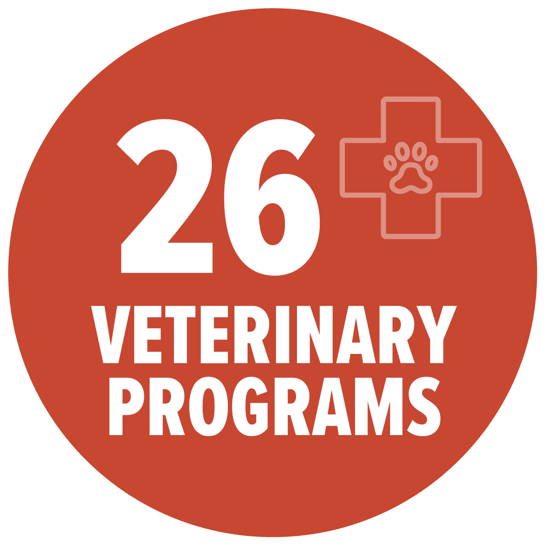 AMRRIC | Animal Management In Rural & Remote Indigenous Communities