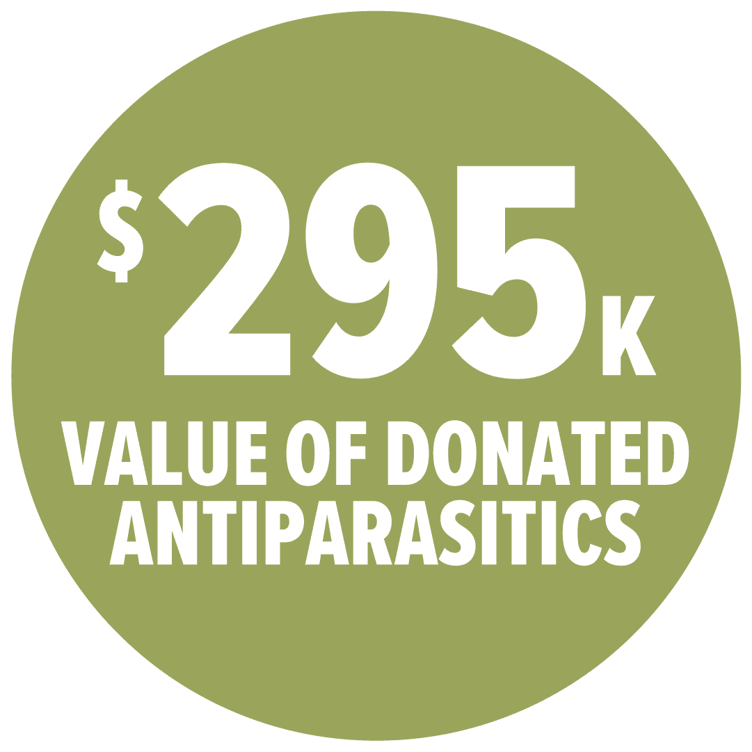 AMRRIC | Animal Management In Rural & Remote Indigenous Communities