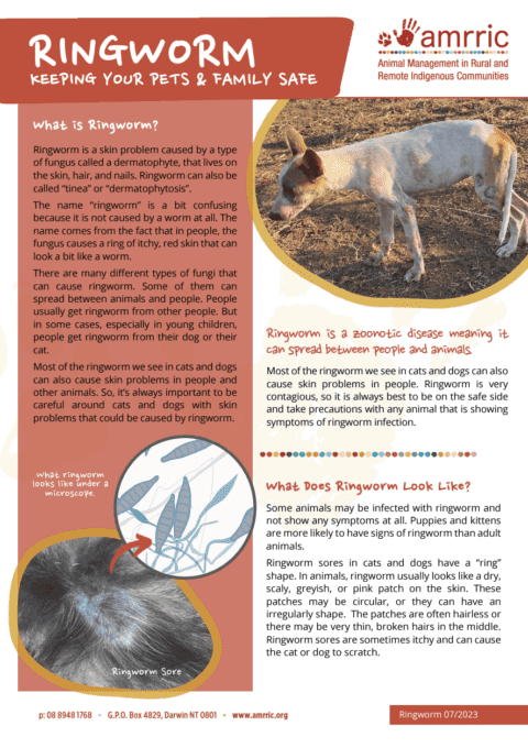 Ringworm Resources - AMRRIC