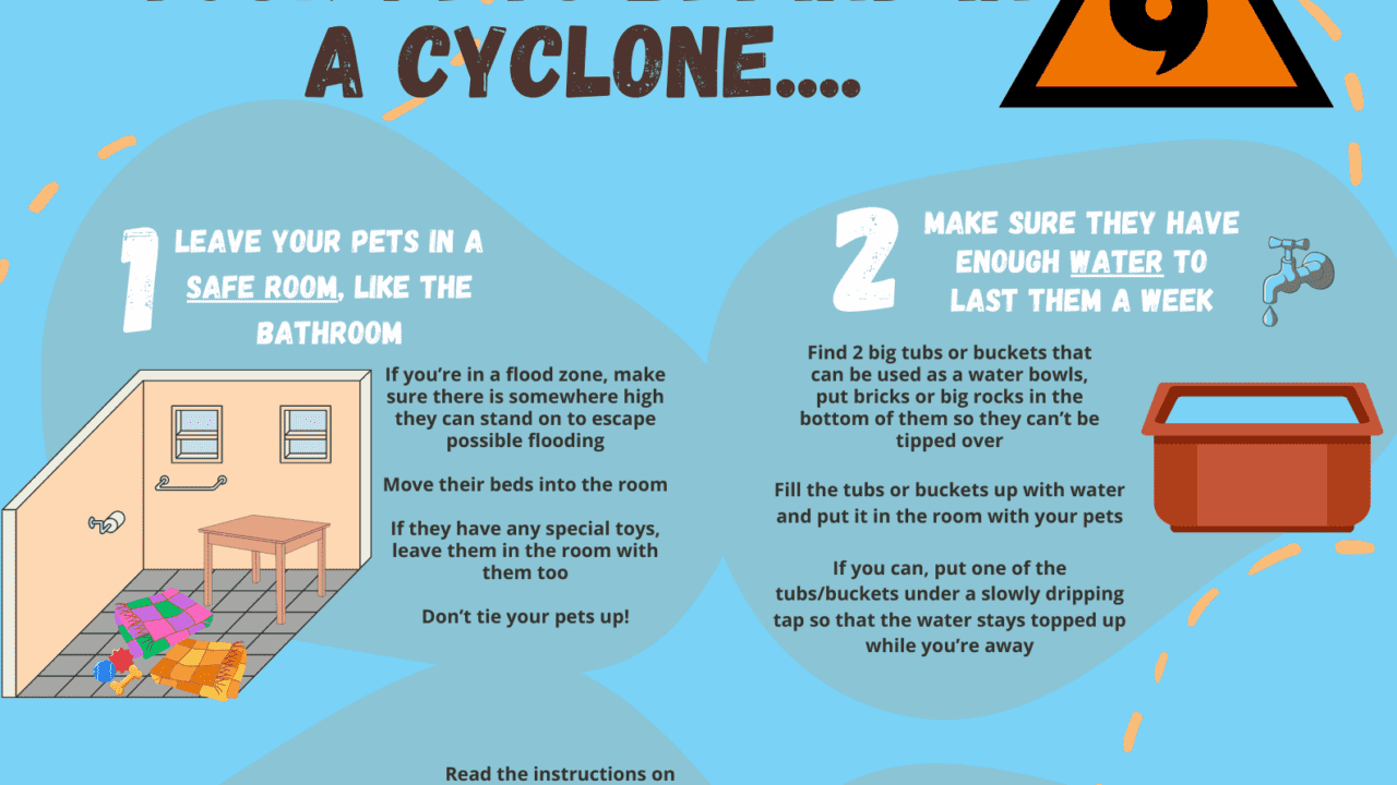 Companion Animal Emergency Management Resources - AMRRIC