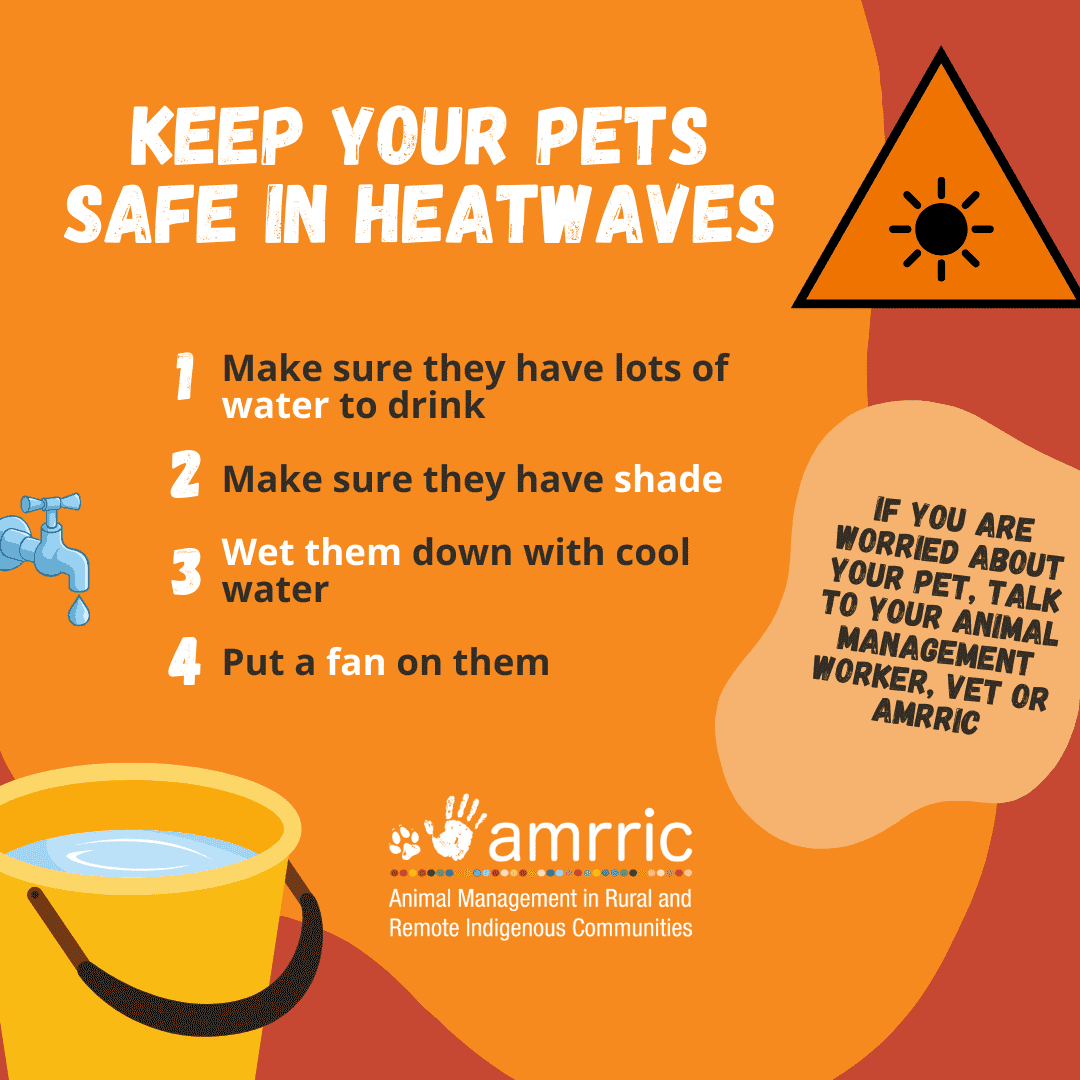 Pets and Heatwaves: advice for community members in managing their pets ...