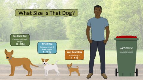 Dog Sizing Guide - AMRRIC