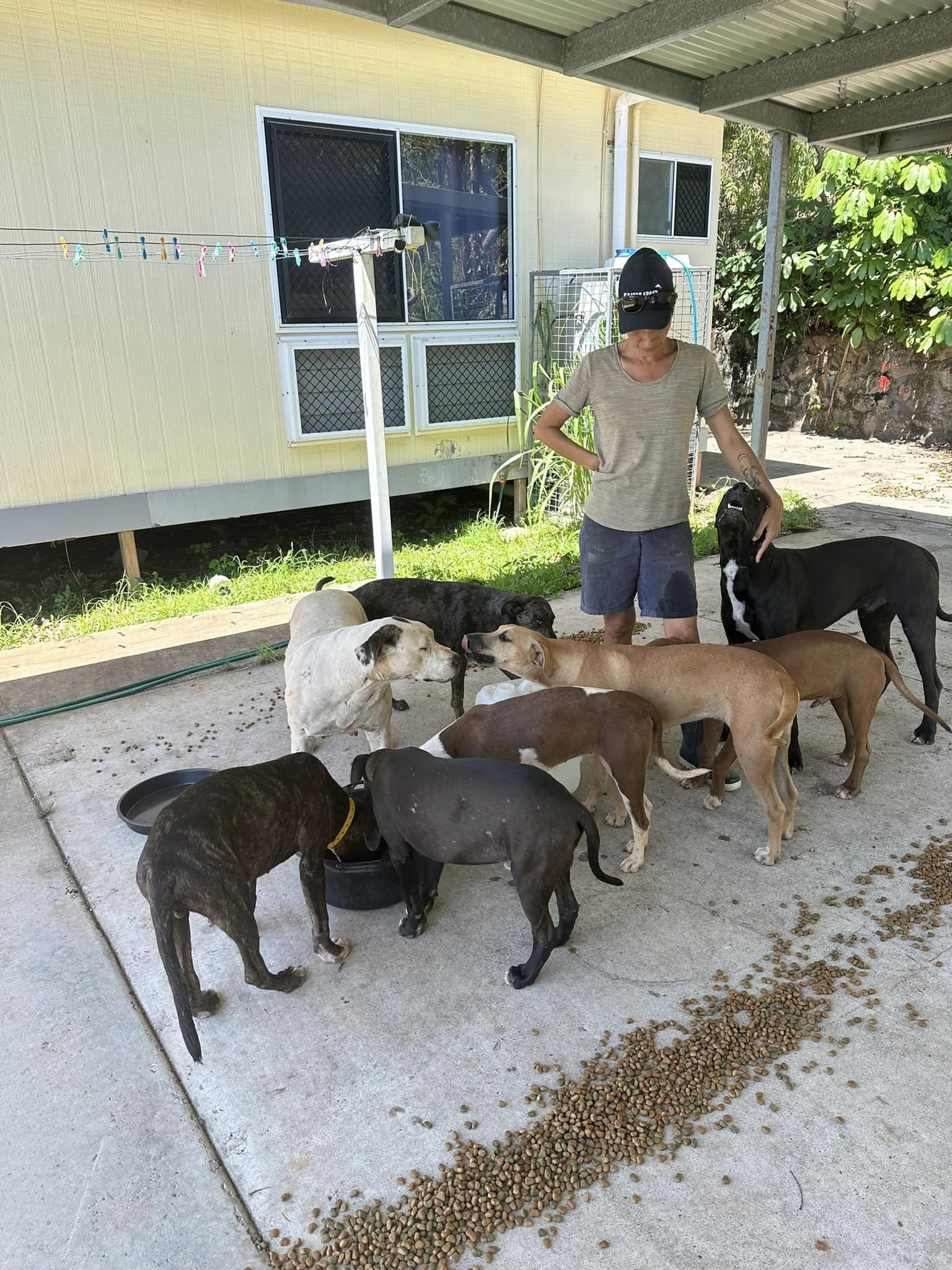 Celebrating Emergency Response Animal Health Workers - AMRRIC