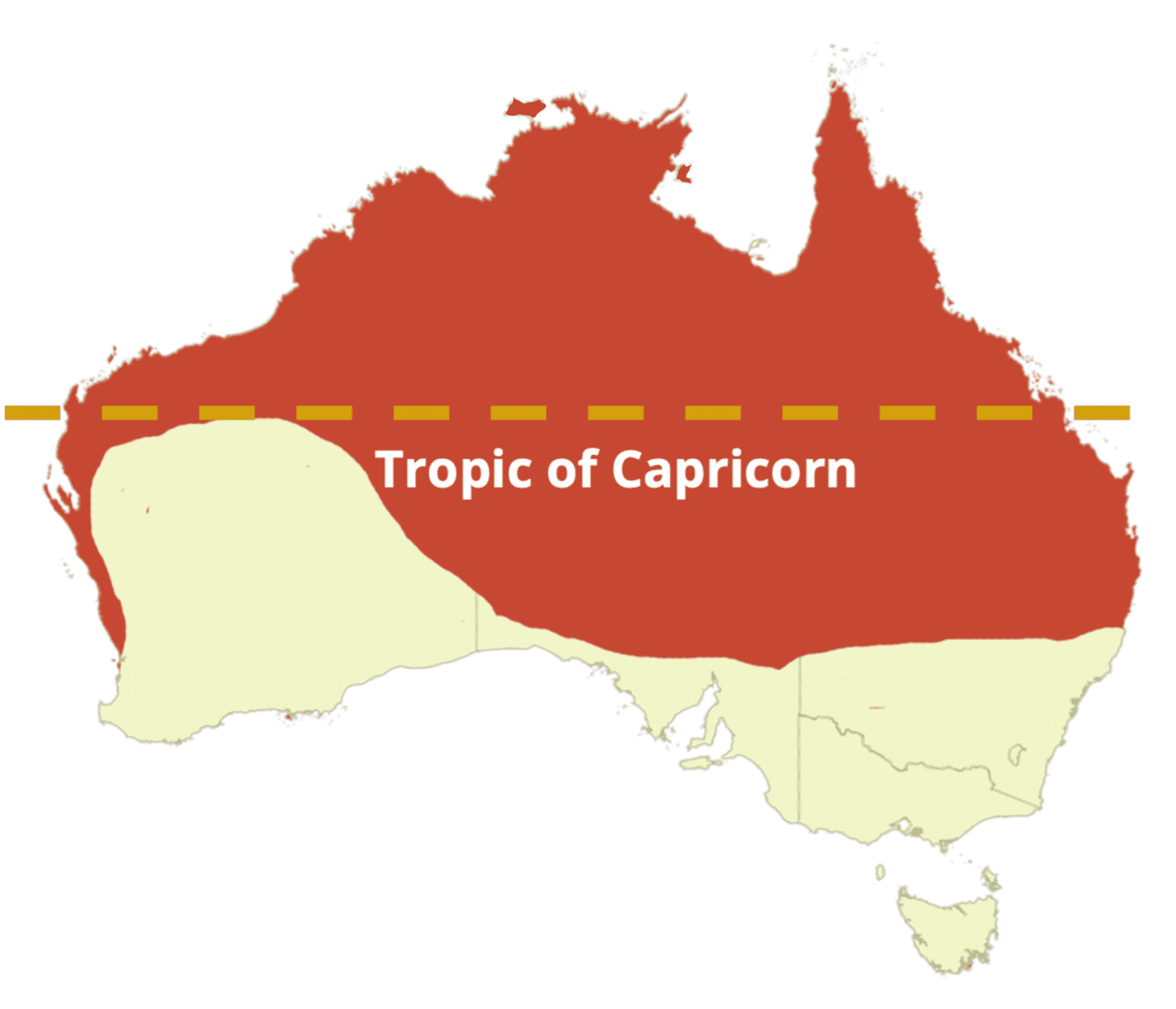 ‘Tick Sickness’ animation now available in Torres Strait Creole - AMRRIC