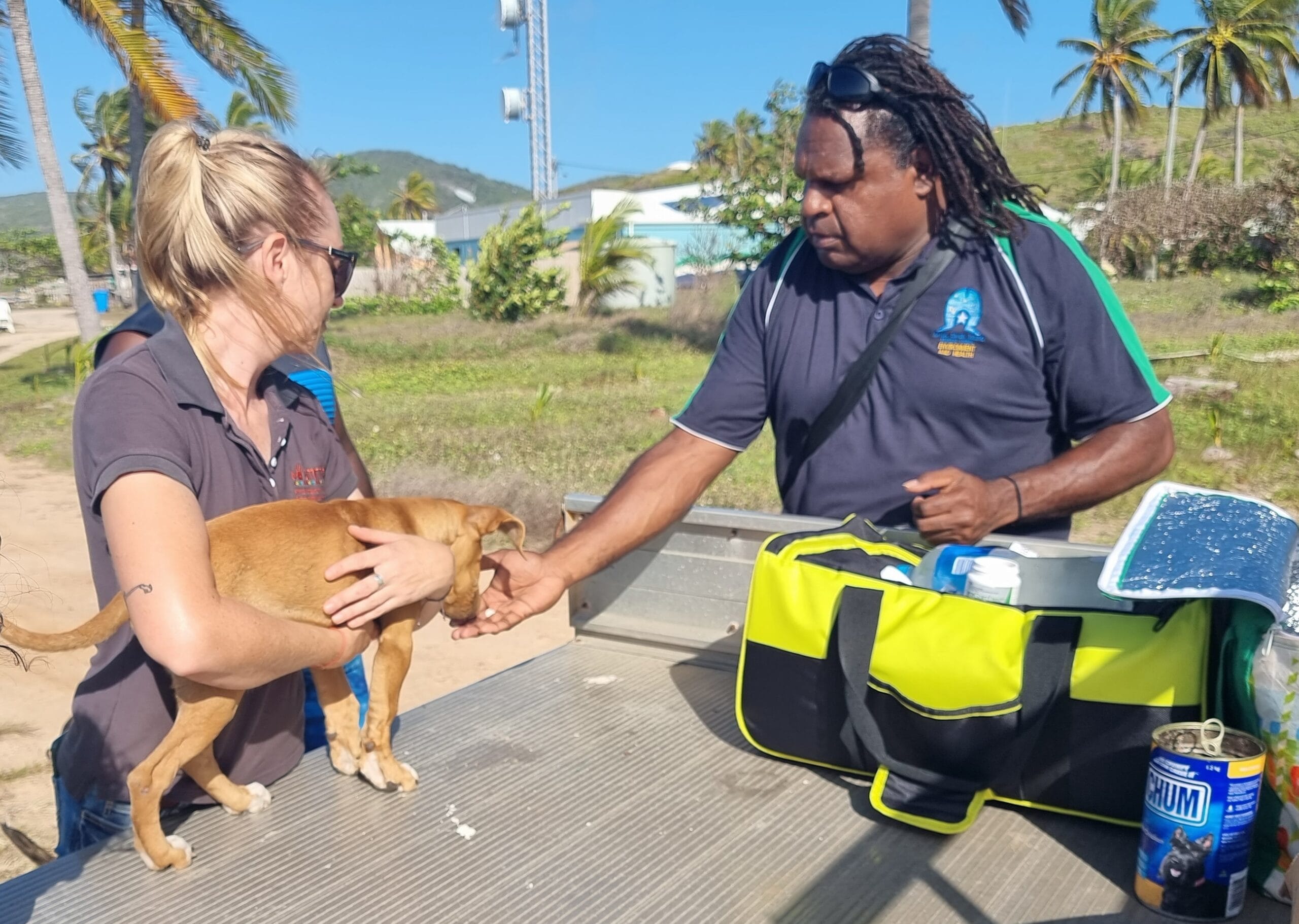 AMRRIC | Animal Management In Rural & Remote Indigenous Communities